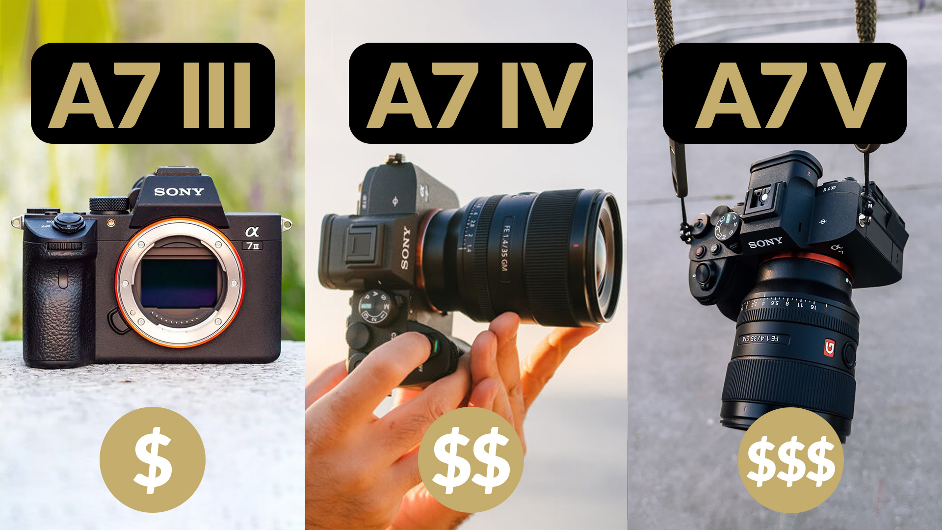 Sony A7 III, A7 IV czy A7 V? Radzimy, który wybrać